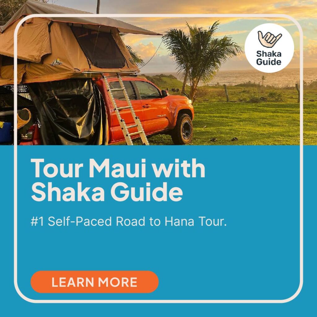 Camper, Van, RV Rentals in Maui | Kuleana Campers Maui